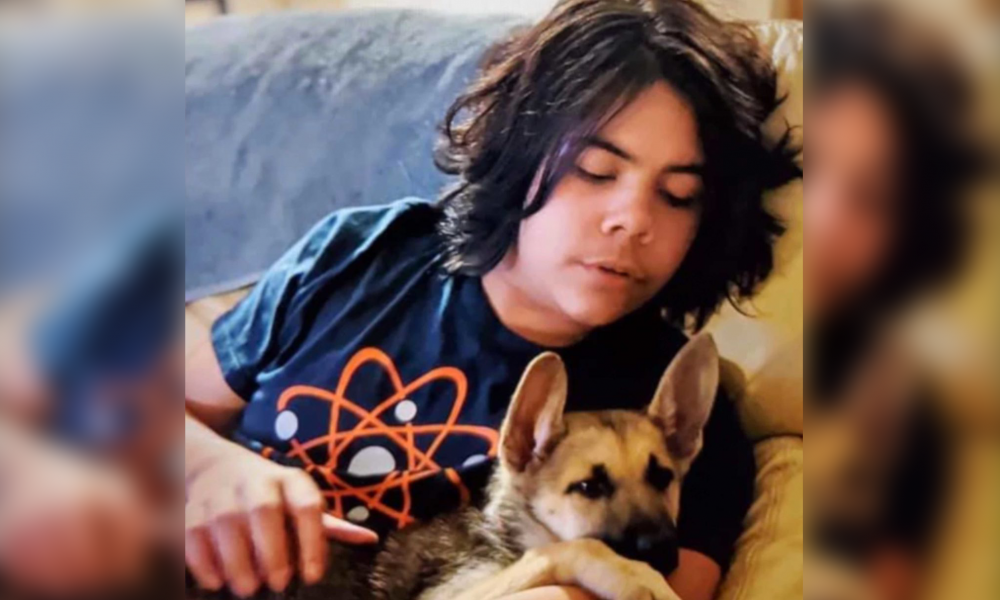 Missing 14-year-old gamer found dead with his dog after going for walk ...